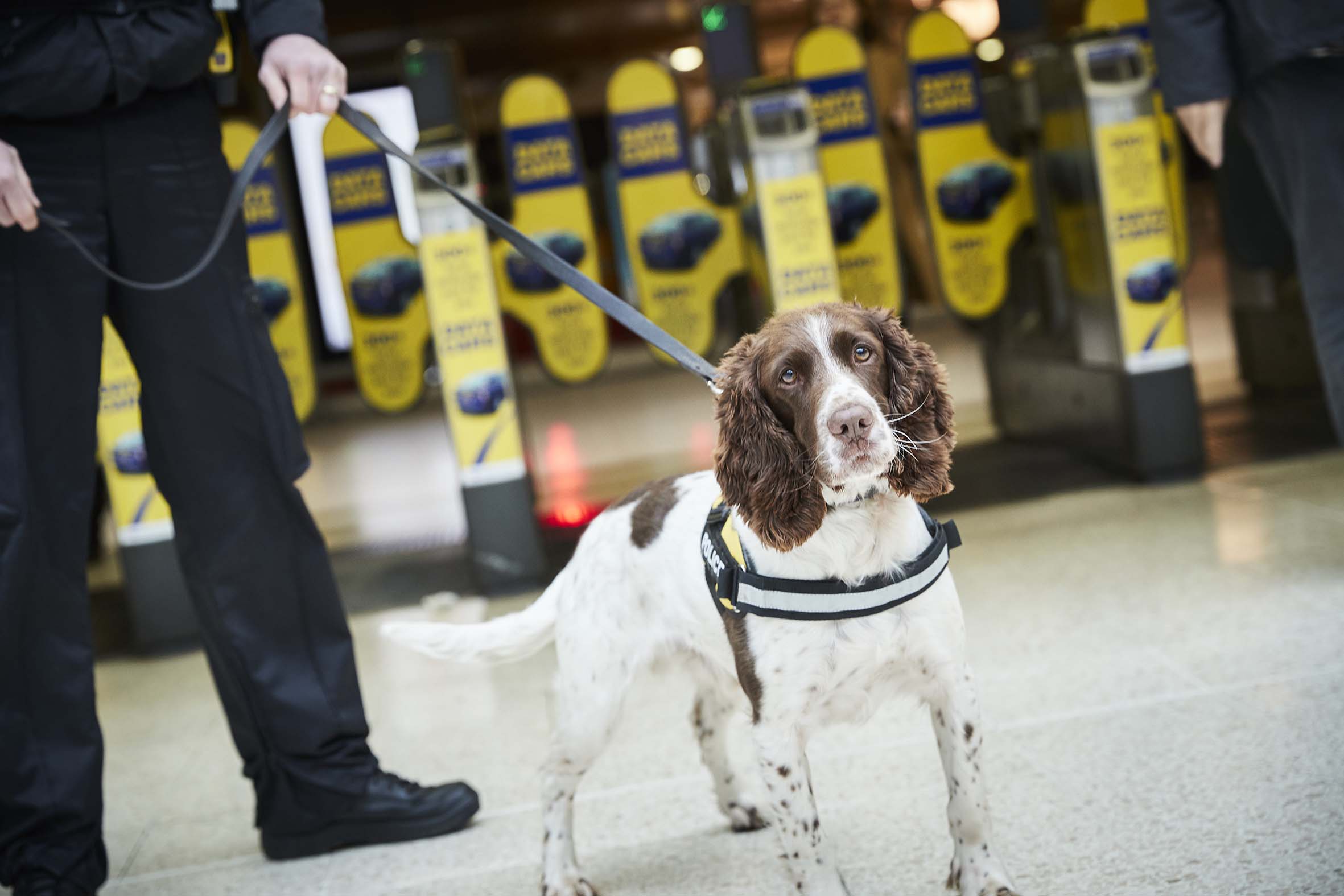 The question of search at football grounds | Counter Terror Business